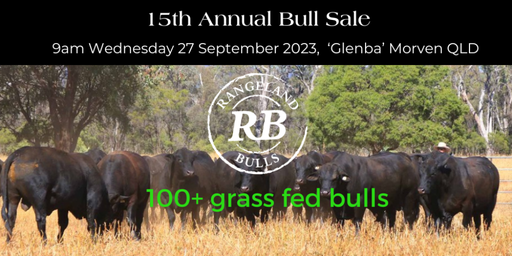 Rangeland Bulls Sale - Jim Pola Digital Marketing